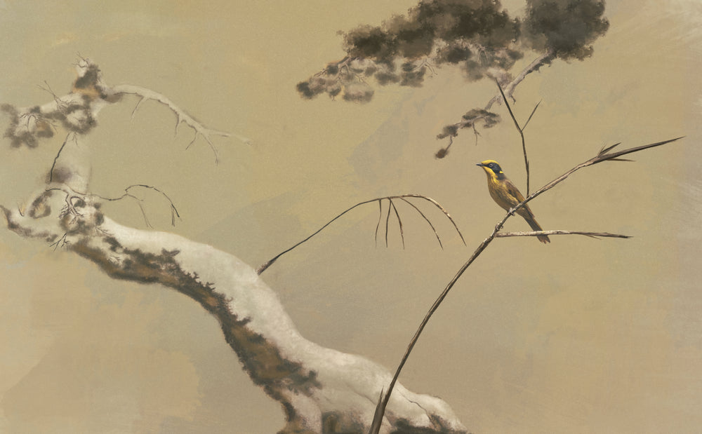 Snap Collective Shop - Unique Photographic Art Books – Snap Collective ...