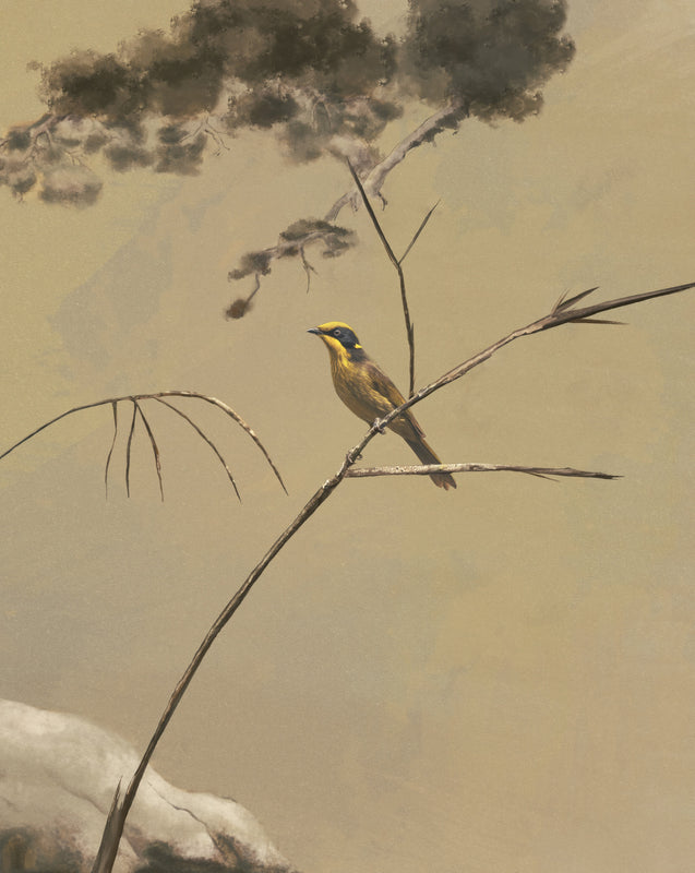 Snap Collective Shop - Unique Photographic Art Books – Snap Collective ...