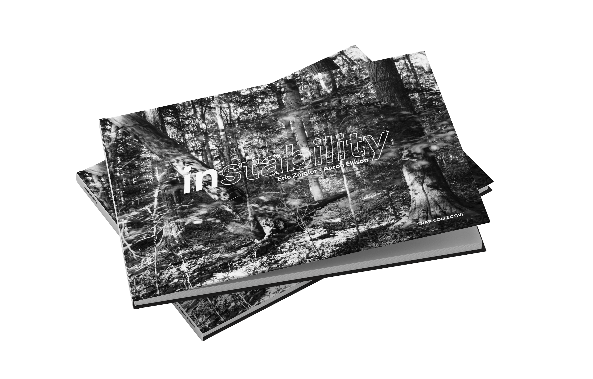 instability by Eric Zeigler & Aaron Ellison – Snap Collective ...